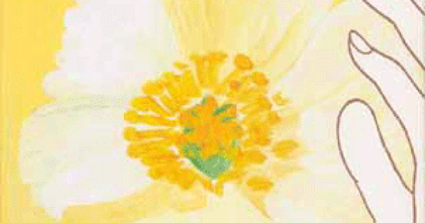 Mudras für Körper, Geist und Seele – Karten-Set, Gertrud Hirschi